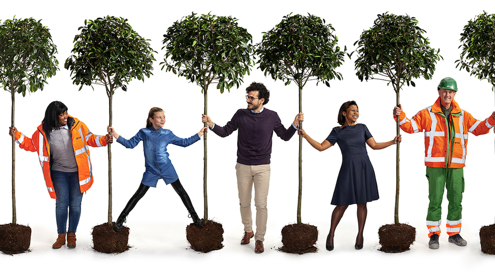 A-merk BAM plant 150.000 bomen wereldwijd | MarketingTribune B2B